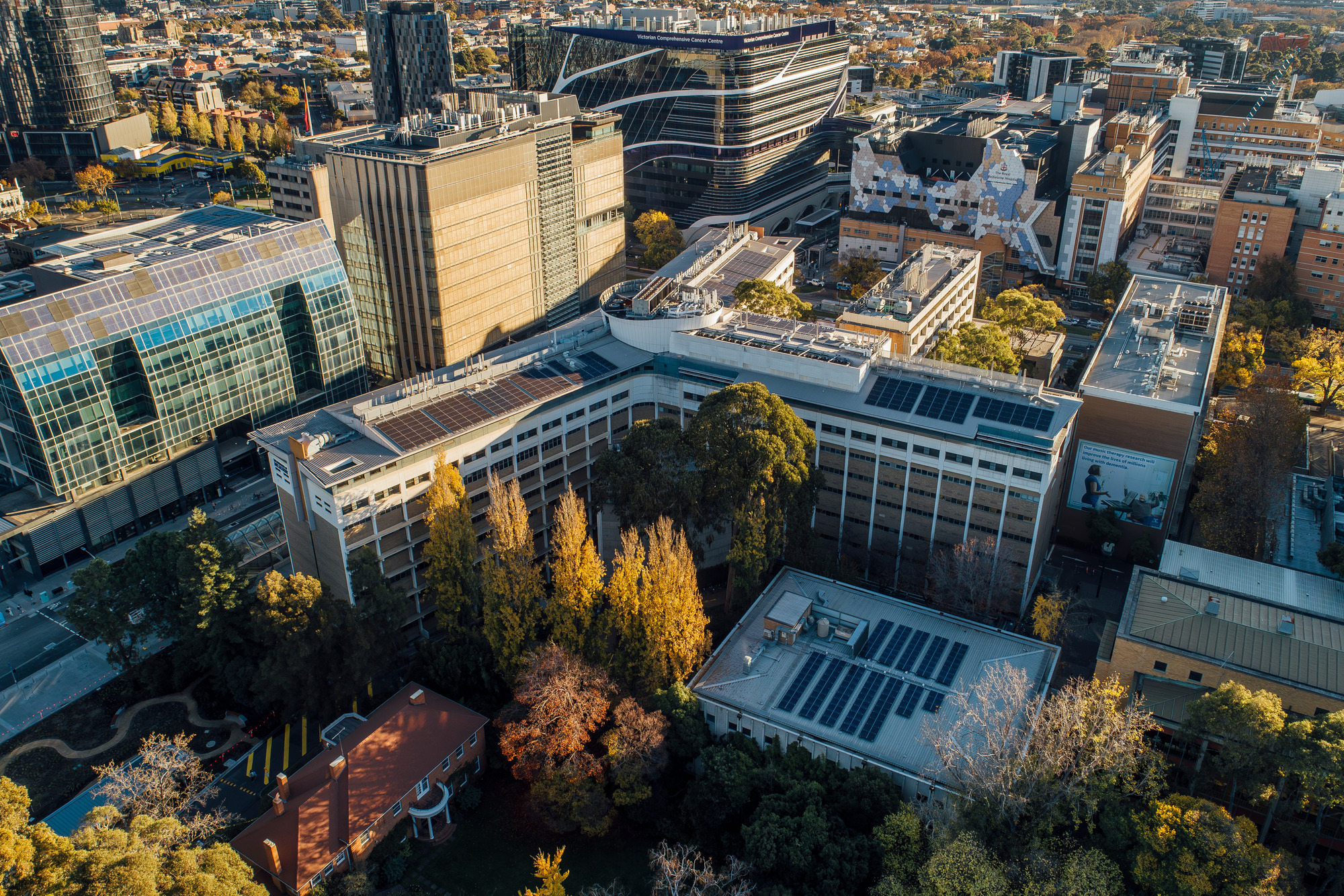 New Fellows elected to the Australian Academy of Health and Medical ...